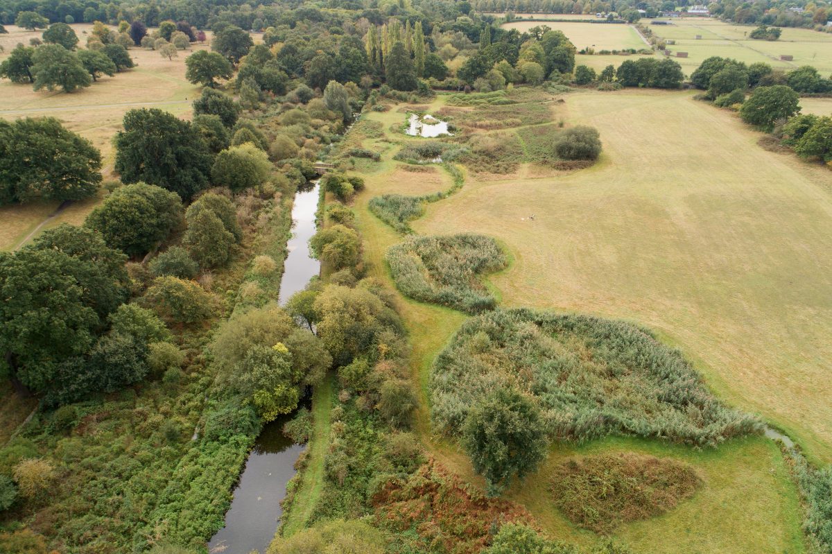 Ecological Surveys - Salix Ecology